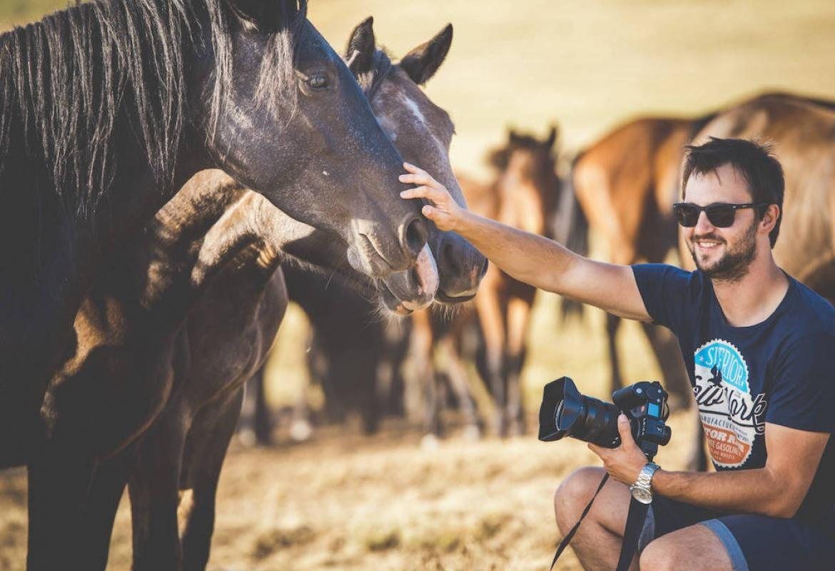 Livanjski divlji konji - BIHAMK Magazin